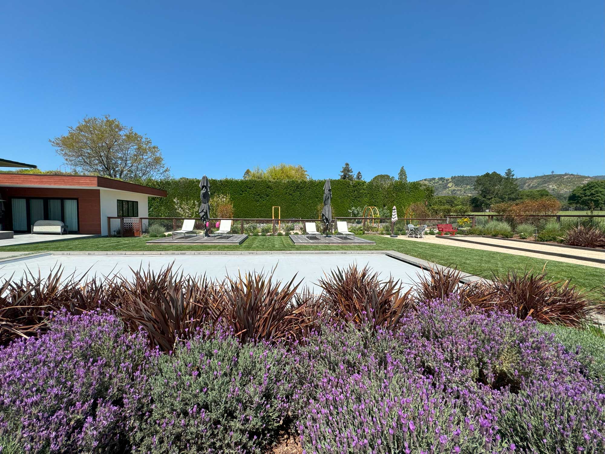 Planting and Plant Installation by Eternal Landscape Solutions